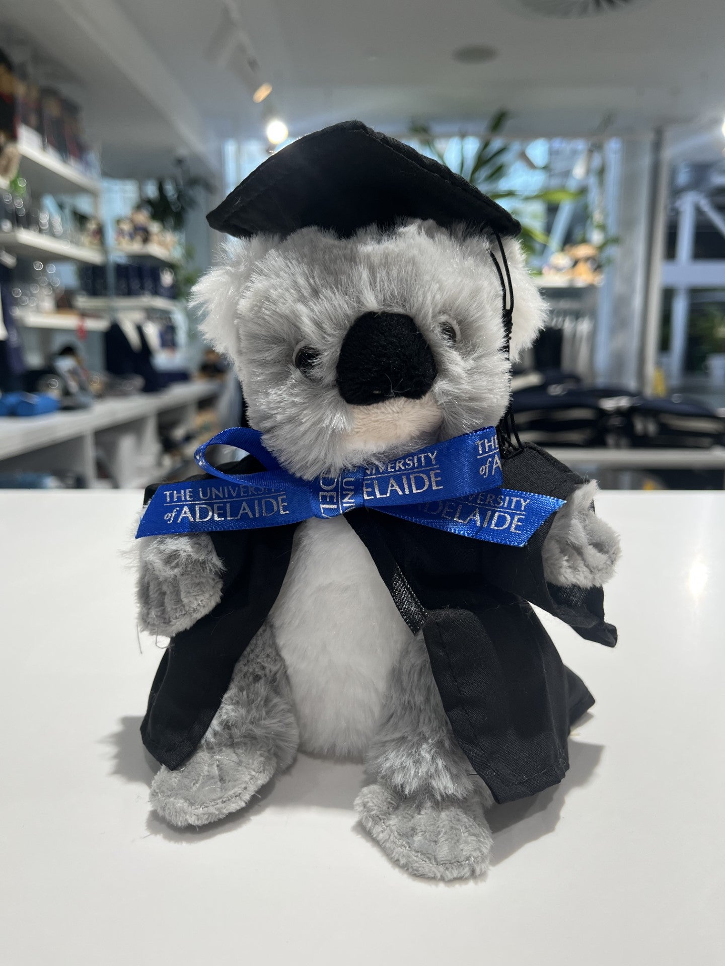 Graduation | The Adelaide Store | University of Adelaide Merchandise