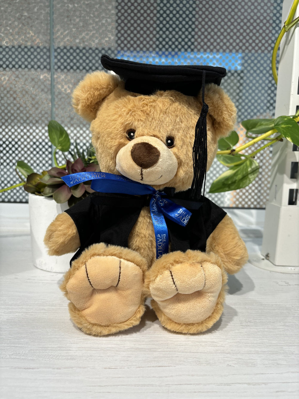 Graduation | The Adelaide Store | University of Adelaide Merchandise
