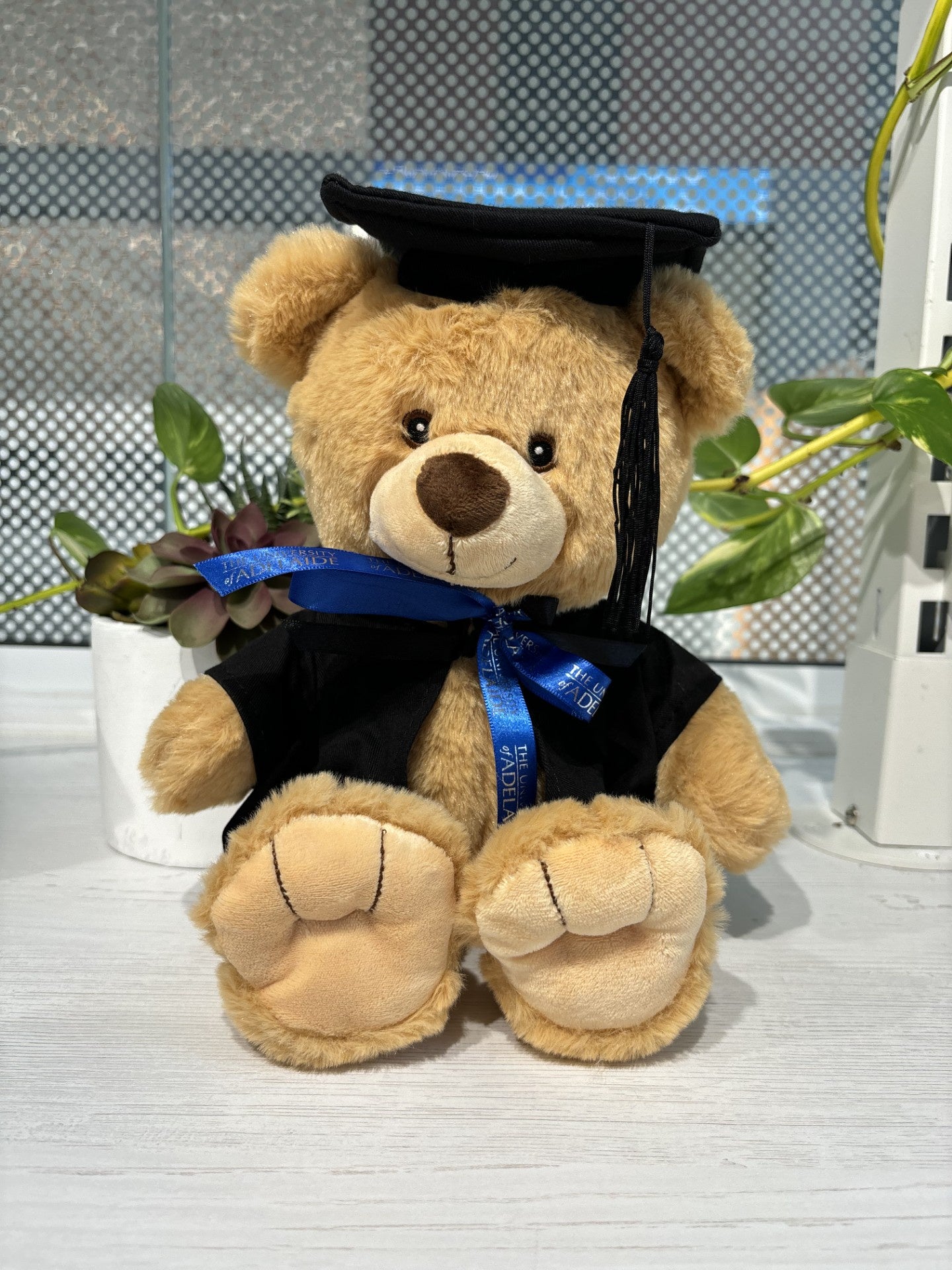 Graduation | The Adelaide Store | University of Adelaide Merchandise