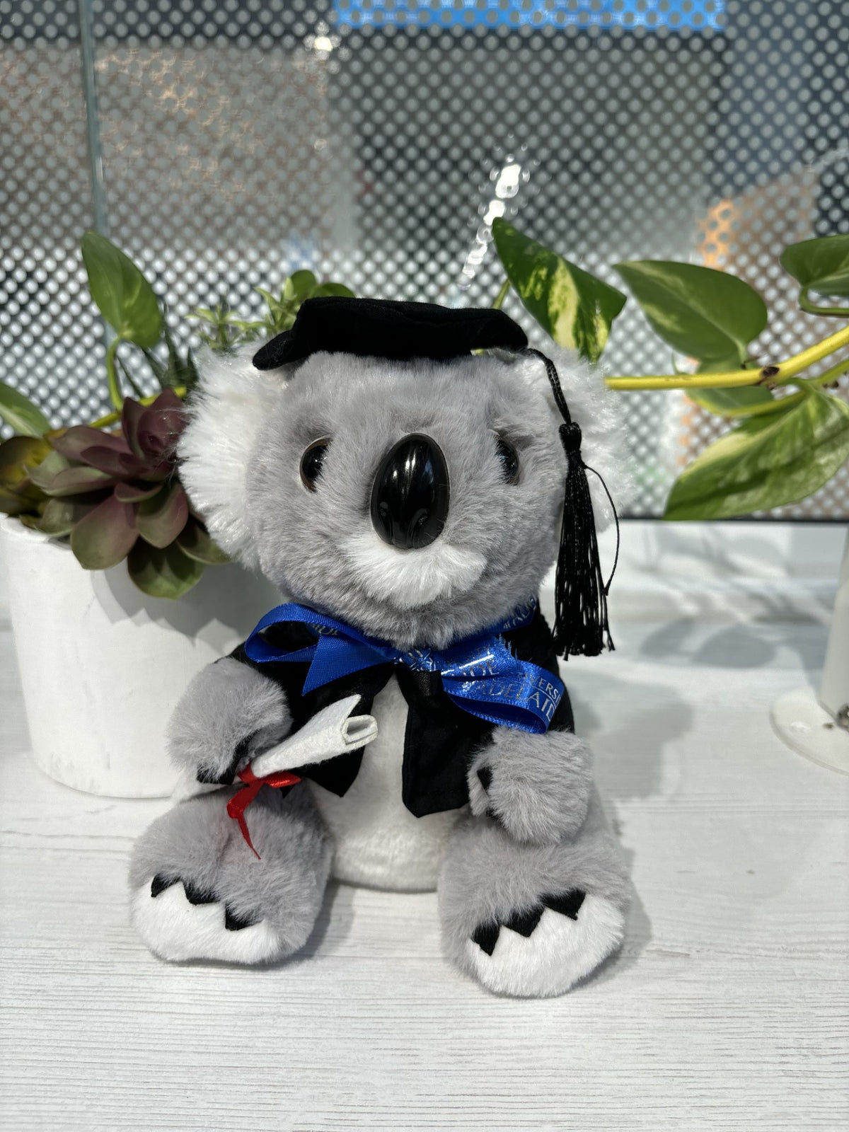 Graduation | The Adelaide Store | University of Adelaide Merchandise