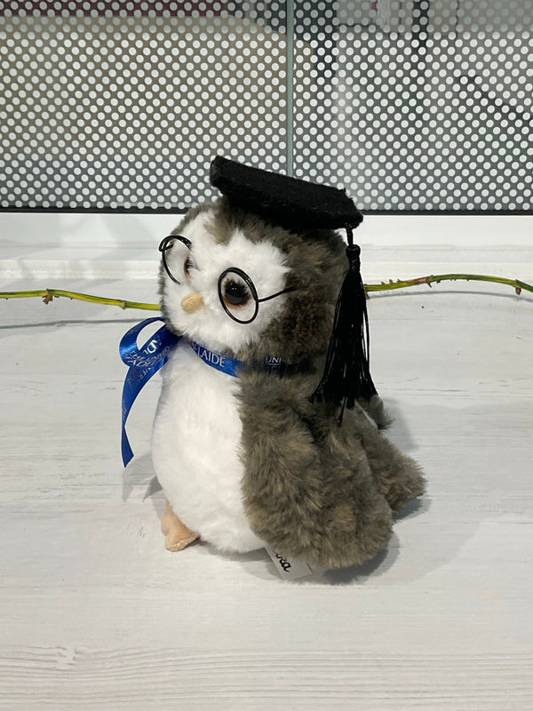 Hoot Graduation Owl - The Adelaide Store