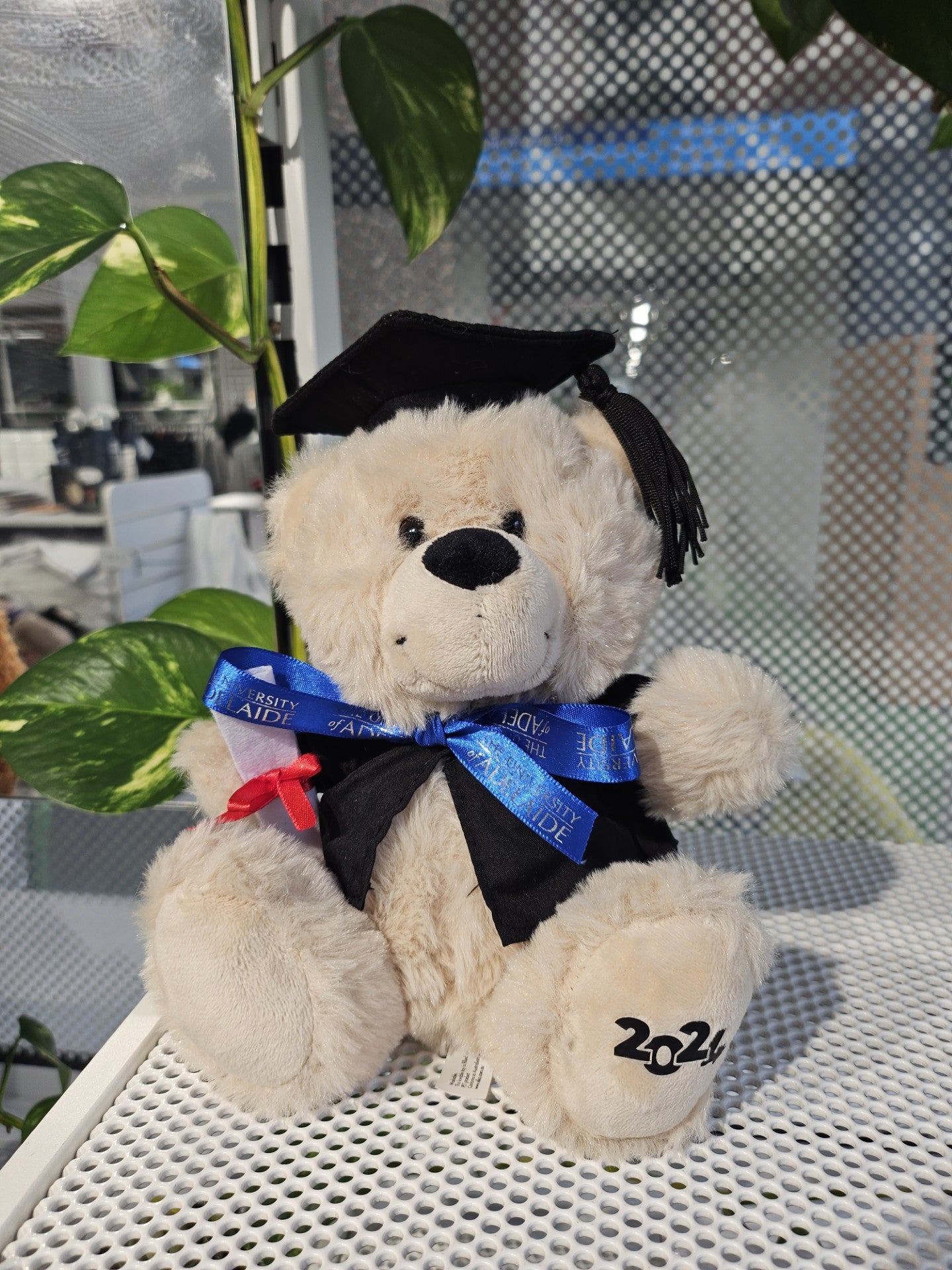 Graduation | The Adelaide Store | University of Adelaide Merchandise