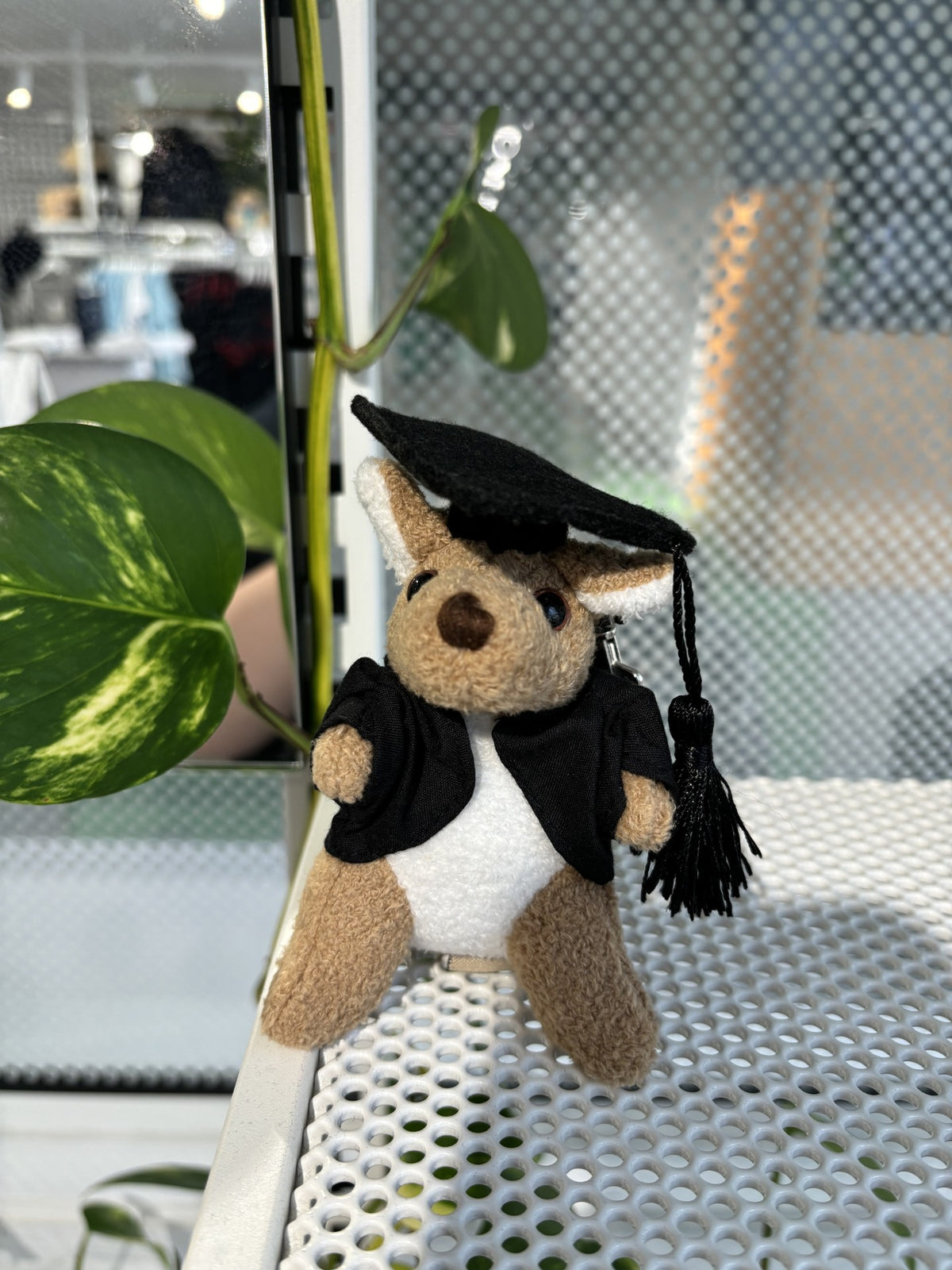 Graduation | The Adelaide Store | University of Adelaide Merchandise